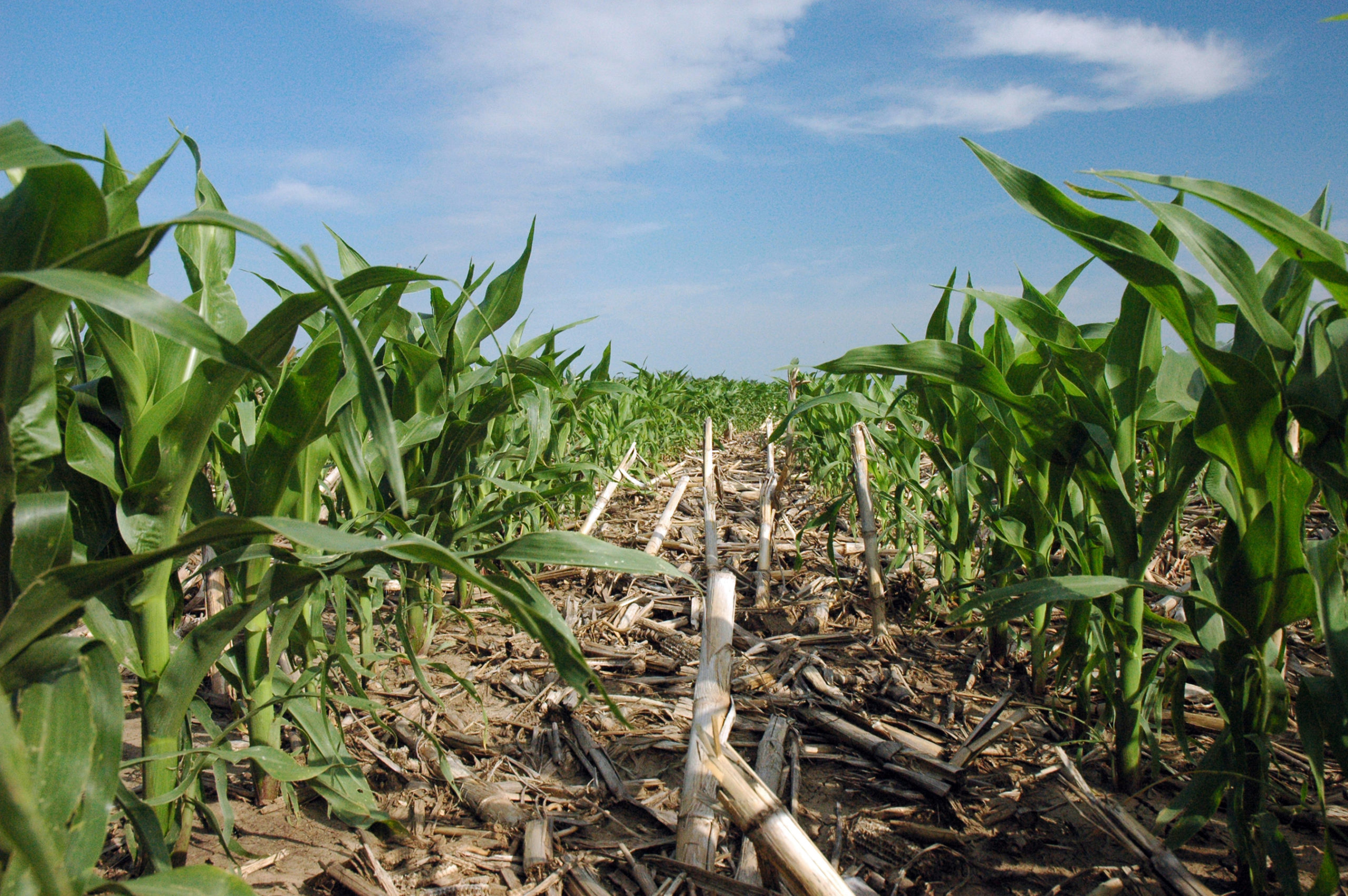 Protect Soil Health for Maximum Profitability - ProAg