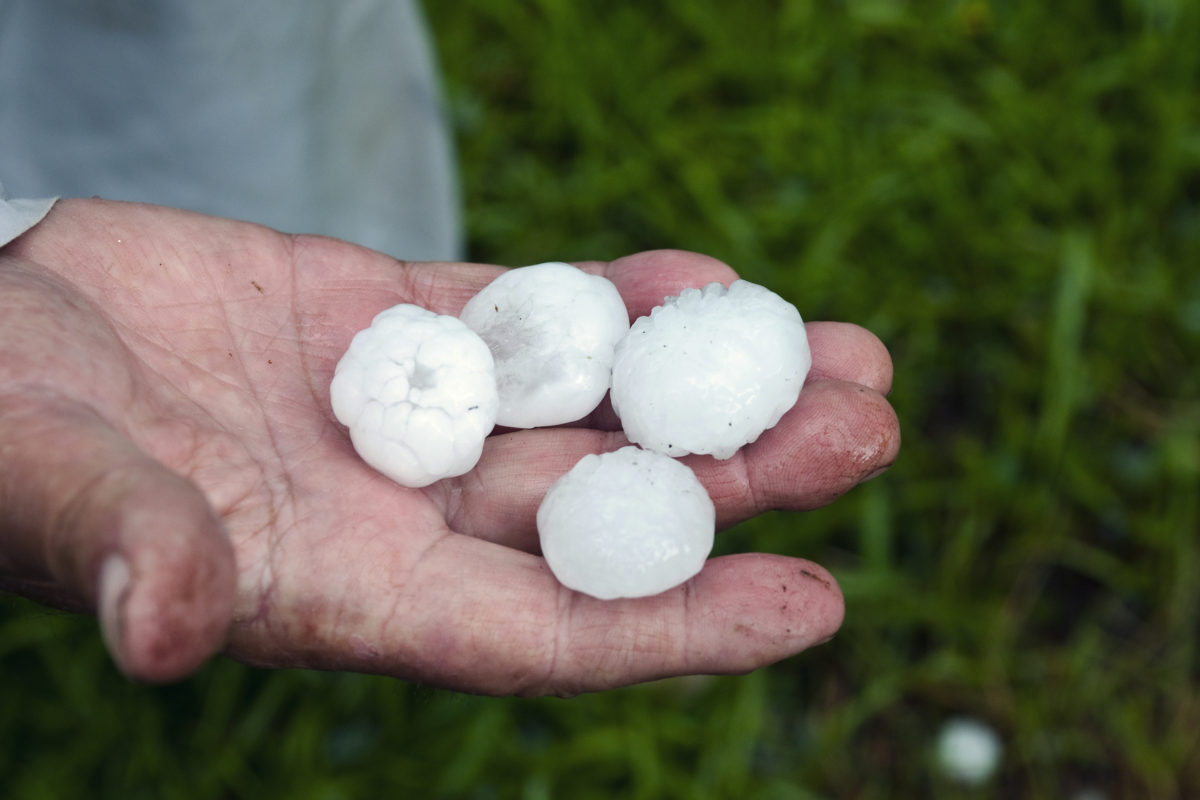 Crop Hail - ProAg
