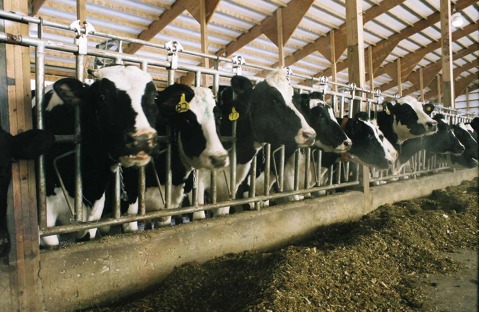 RMA Updates Dairy Revenue Protection for 2022 Crop Year - ProAg