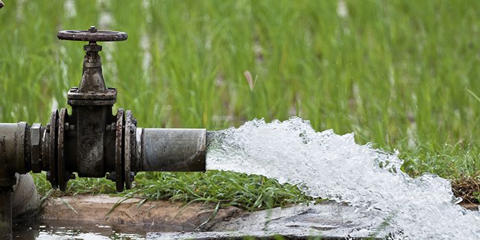 EPA to Rewrite WOTUS by September 1 - ProAg