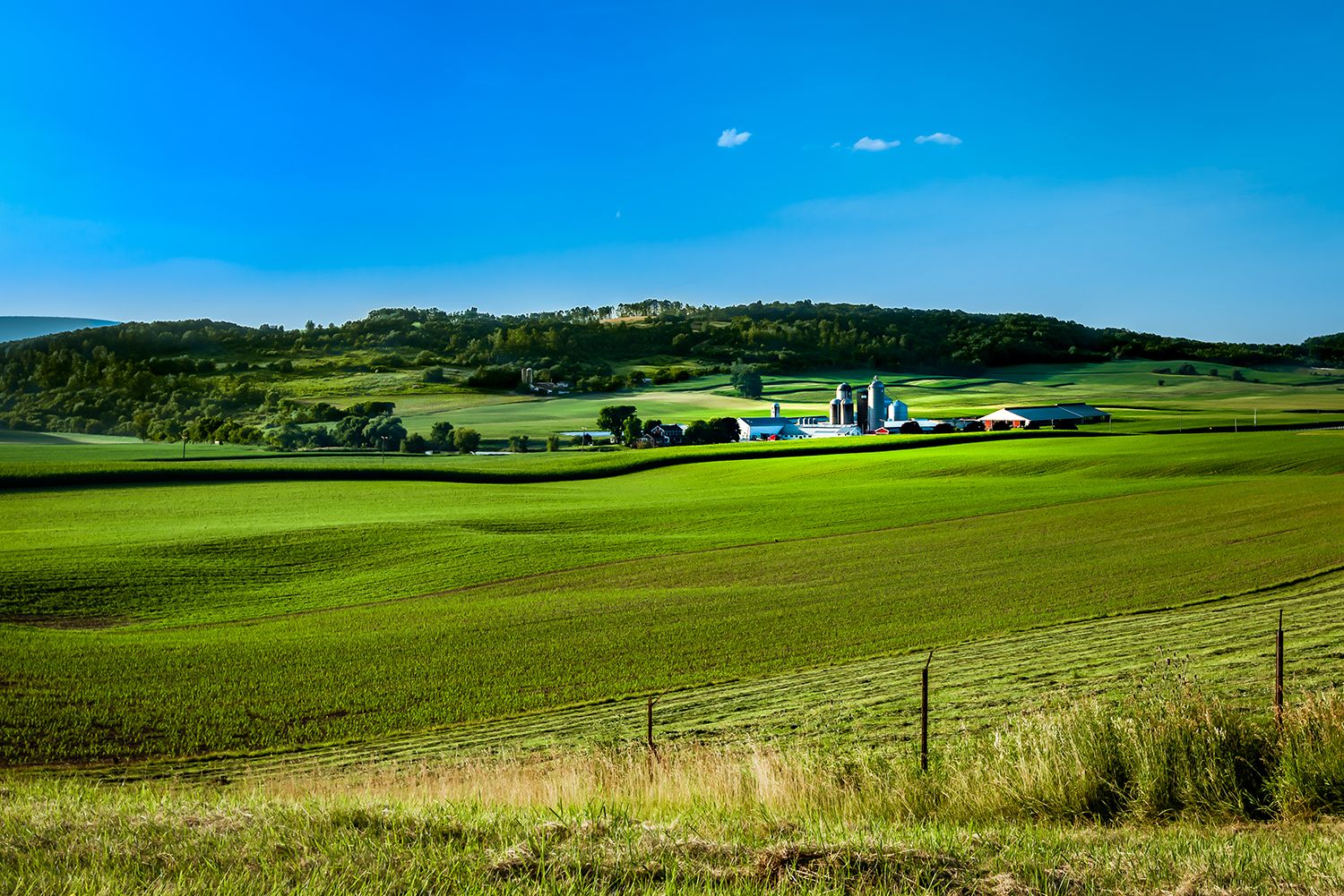 Majority of US Farmland Still Stays in Families, Despite Growing ...