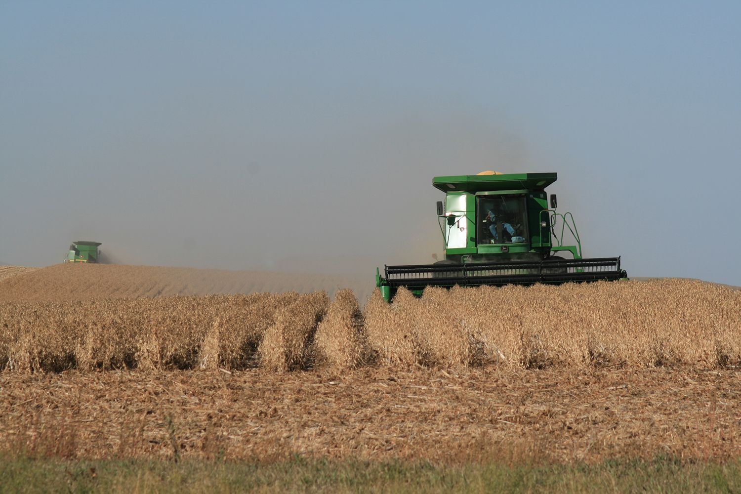 October 12 USDA Crop Production and WASDE Report Summary - ProAg