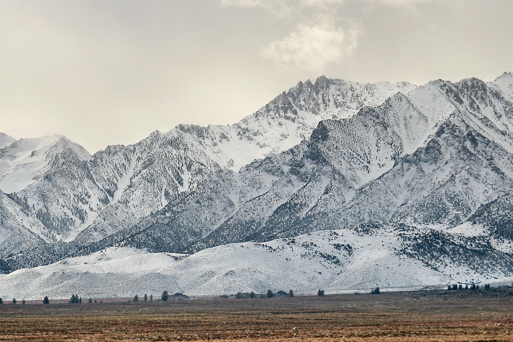 December Storms Helped Sierra Snowpack - ProAg