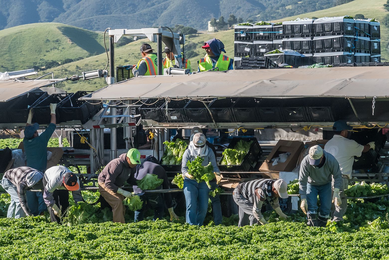 Deportation Plans Could Intensify Farm Labor Shortage - ProAg
