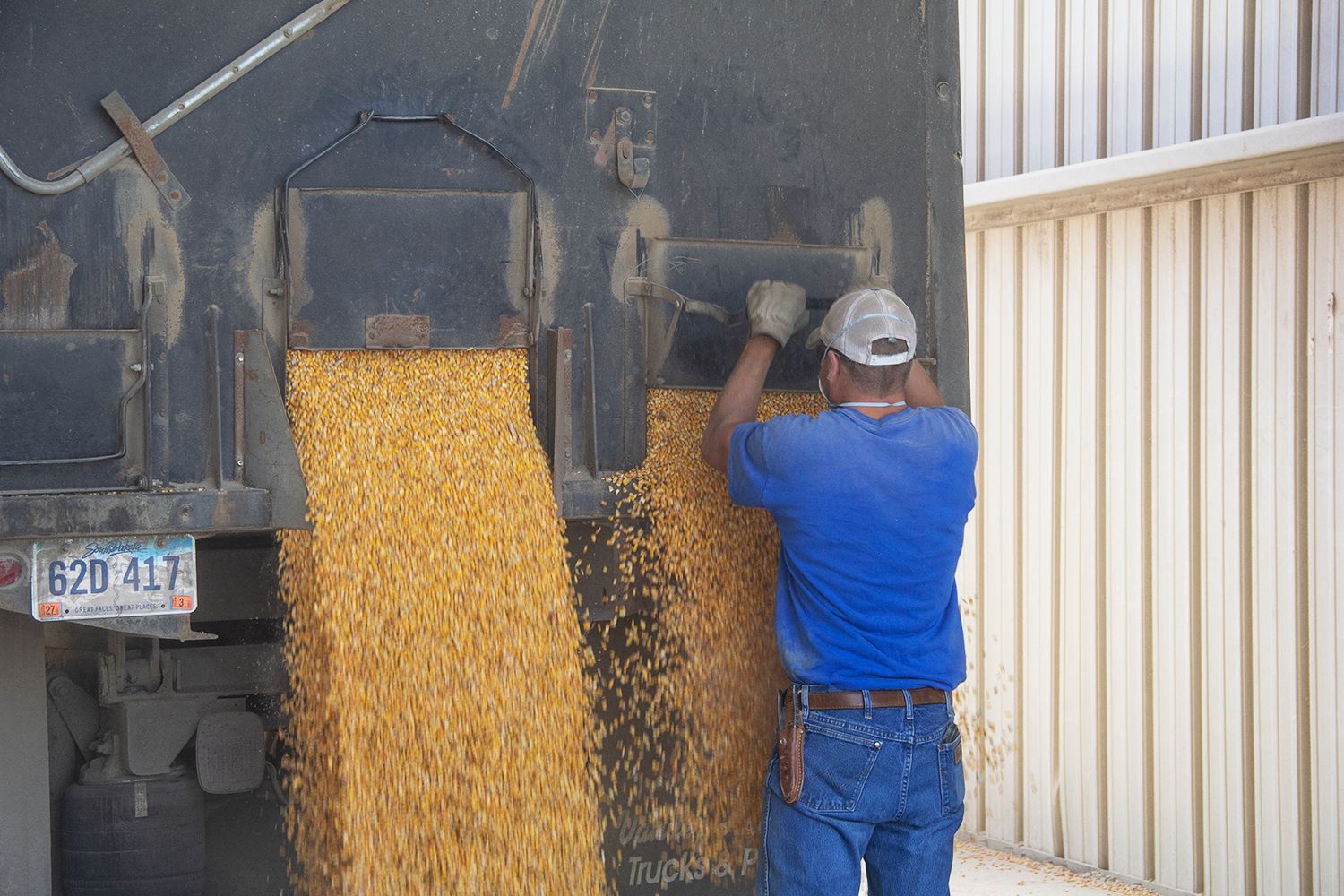 USDA Lowers Corn Exports in Latest WASDE - ProAg