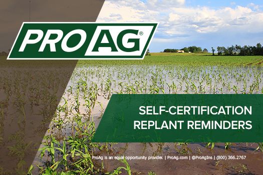 2020 Replant Reminders - ProAg