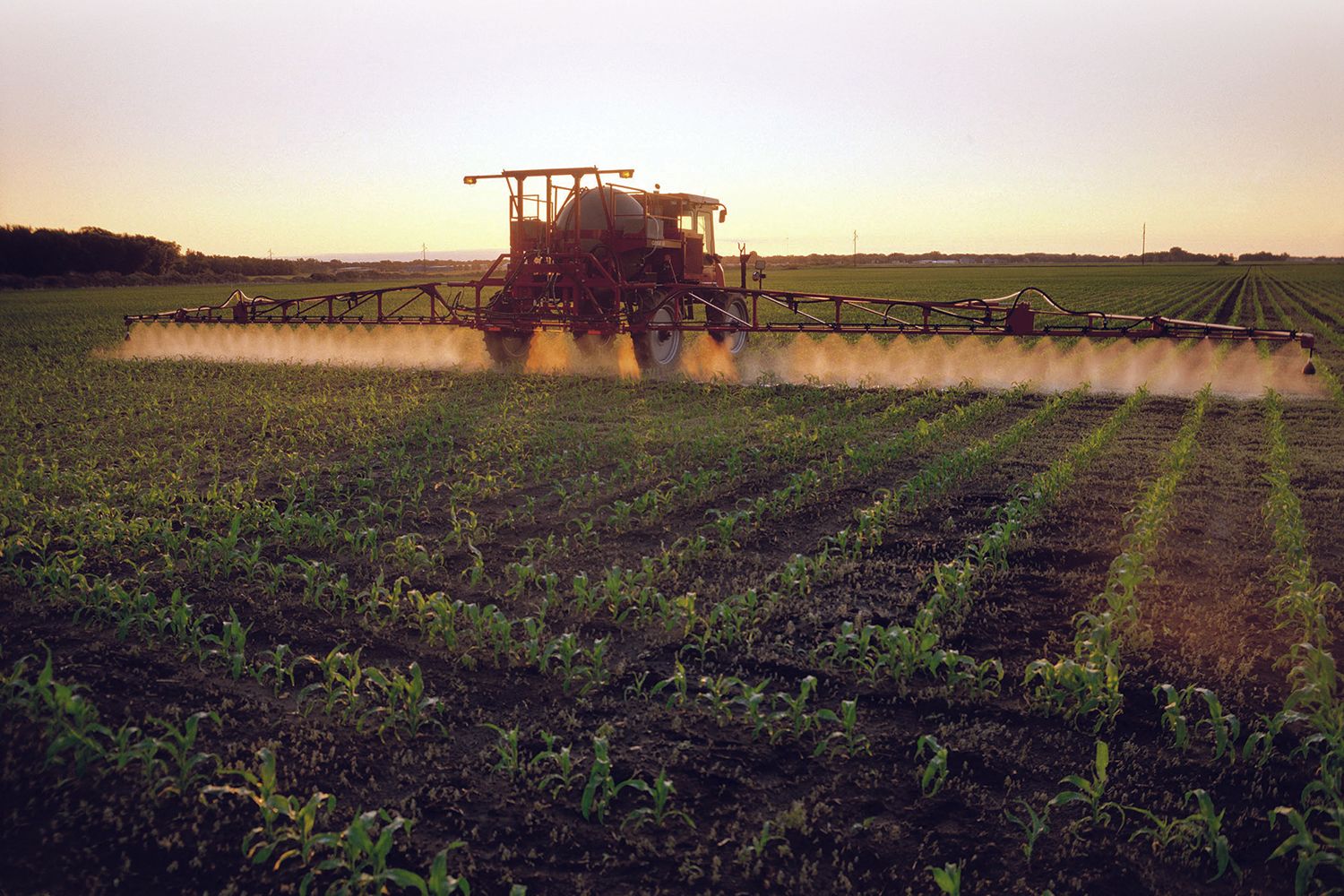 Bayer Announces Details for Carbon Program, In Partnership with CHS - ProAg