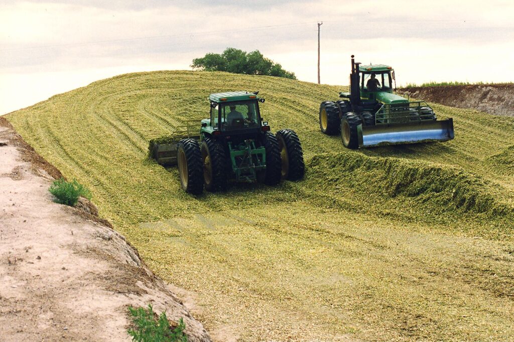 Tips for Salvaging Corn As Silage - ProAg
