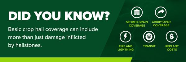 Get Quick, Accurate Crop Hail Insurance Coverage with ProAg