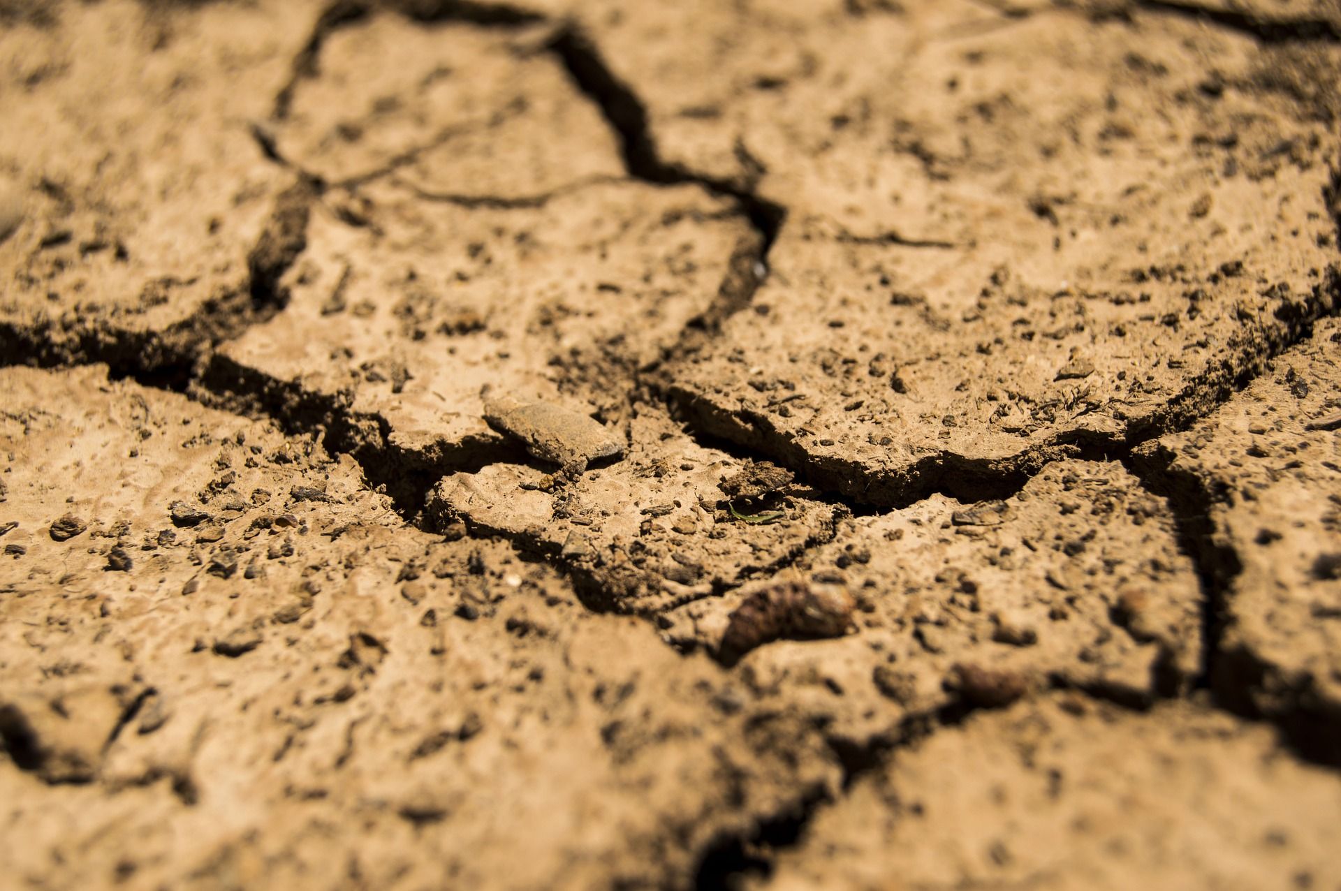 Emergency Drought Relief - Deferral of Interest Charges - ProAg