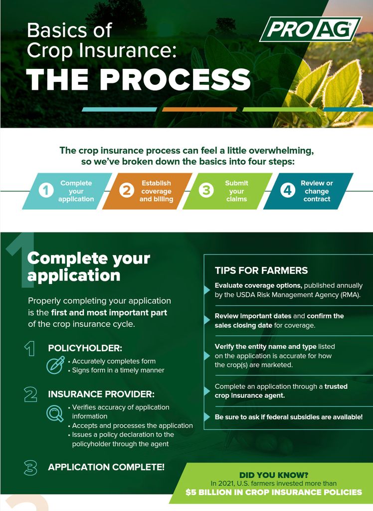 Understand the Crop Insurance Process in Four Easy Steps