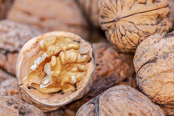 Walnut Crop Insurance Changes - ProAg