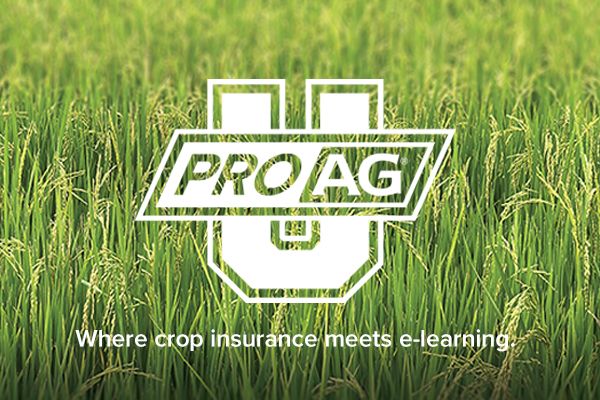 Agent Training - ProAg