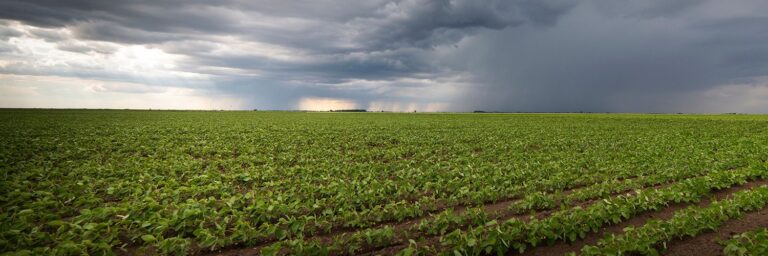 The Crop Insurance Cycle - ProAg
