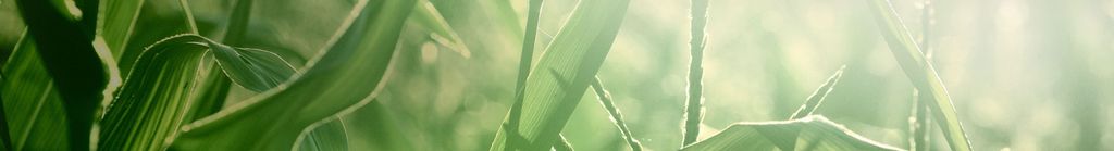 All Crop Insurance Products - ProAg Crop Insurance Company