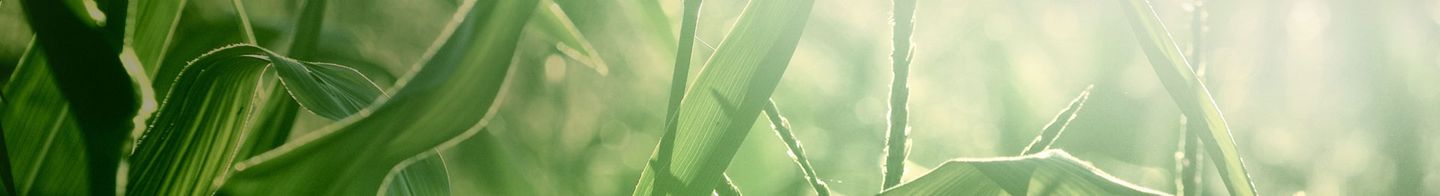 All Crop Insurance Products - ProAg Crop Insurance Company