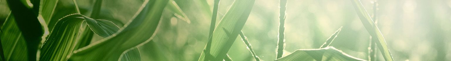 All Crop Insurance Products - ProAg Crop Insurance Company