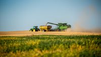 Revenue Protection (RP Crop Insurance) - ProAg