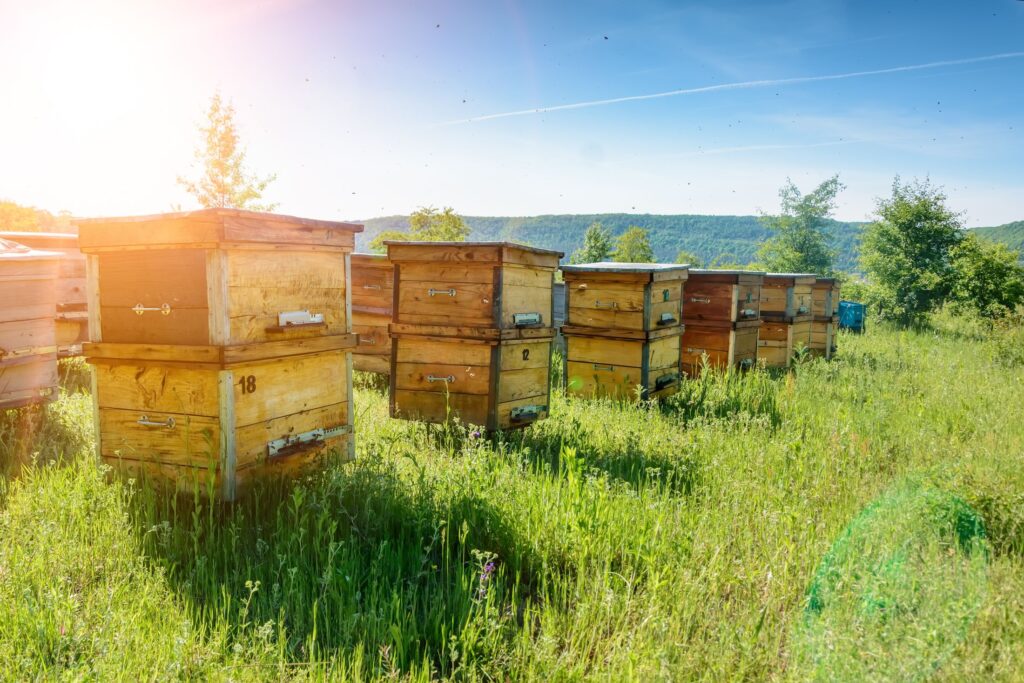 Apiculture Beekeeper Insurance Pilot Program - ProAg