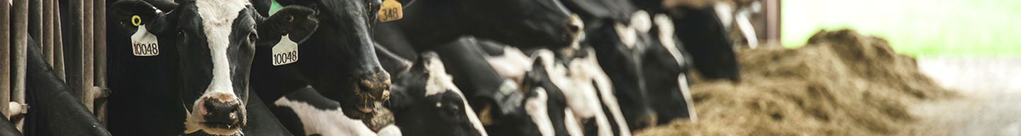 Campaign Dairy Revenue Protection - ProAg