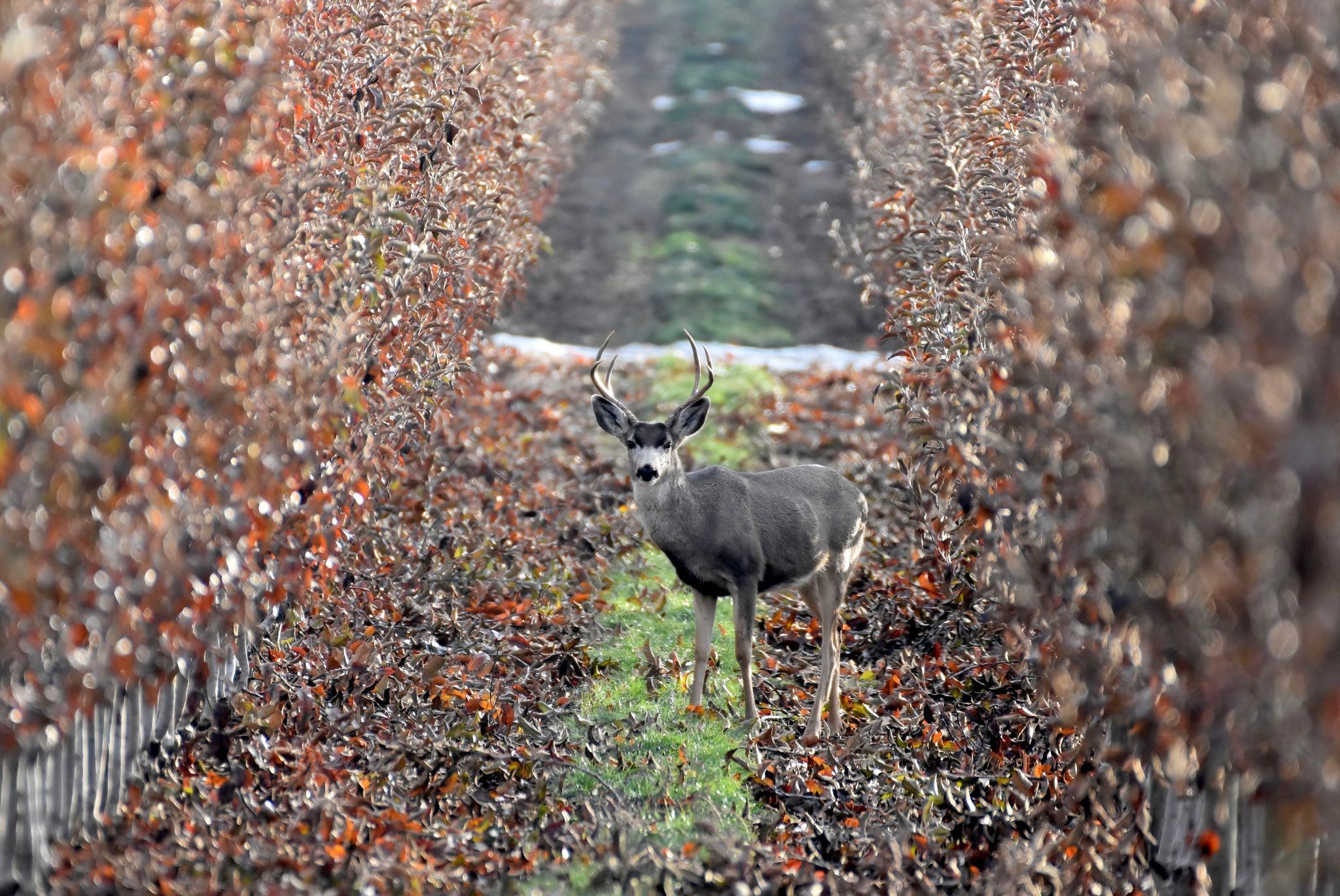 2024 ProAg Wall Calendar Photo Contest Winning Entries - ProAg