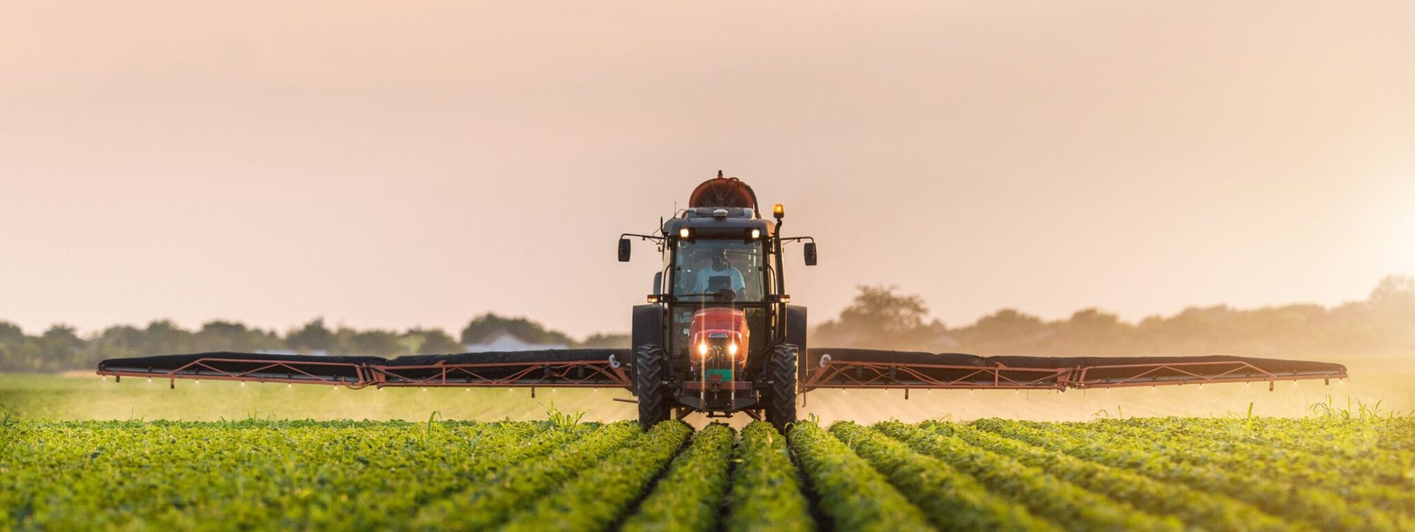 How Does Crop Insurance Work? - ProAg