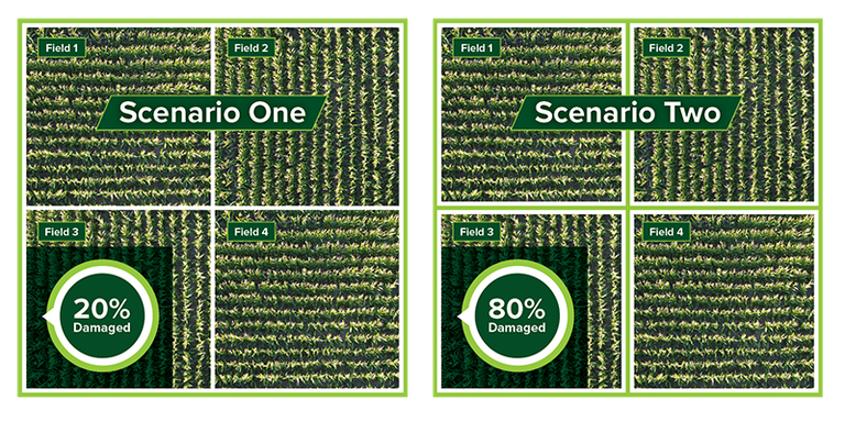 Basics of Crop Insurance - ProAg