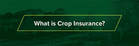 How Does Crop Insurance Work? - ProAg